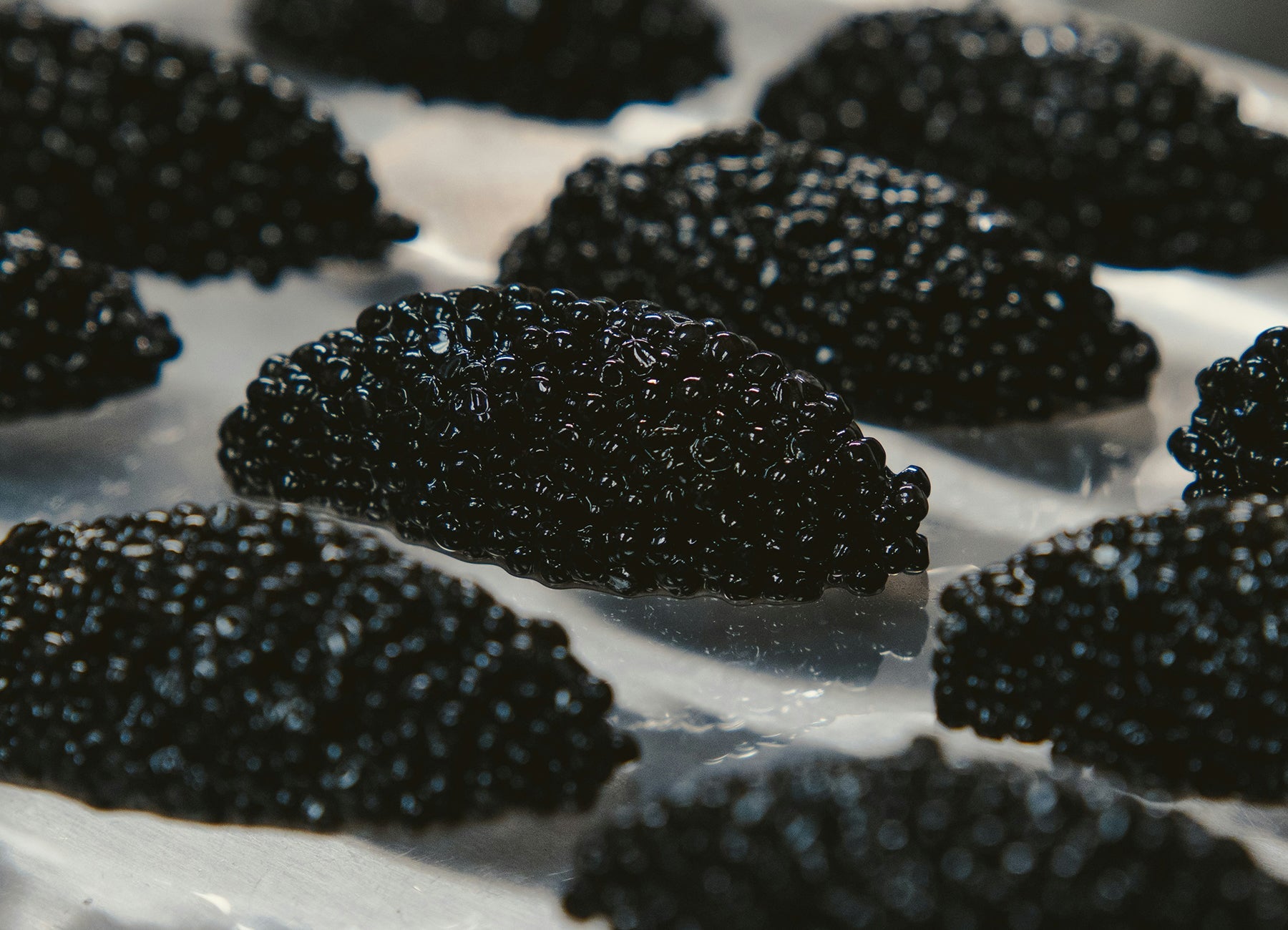 Repairing Caviar Collection – Le Chic Hair Tools